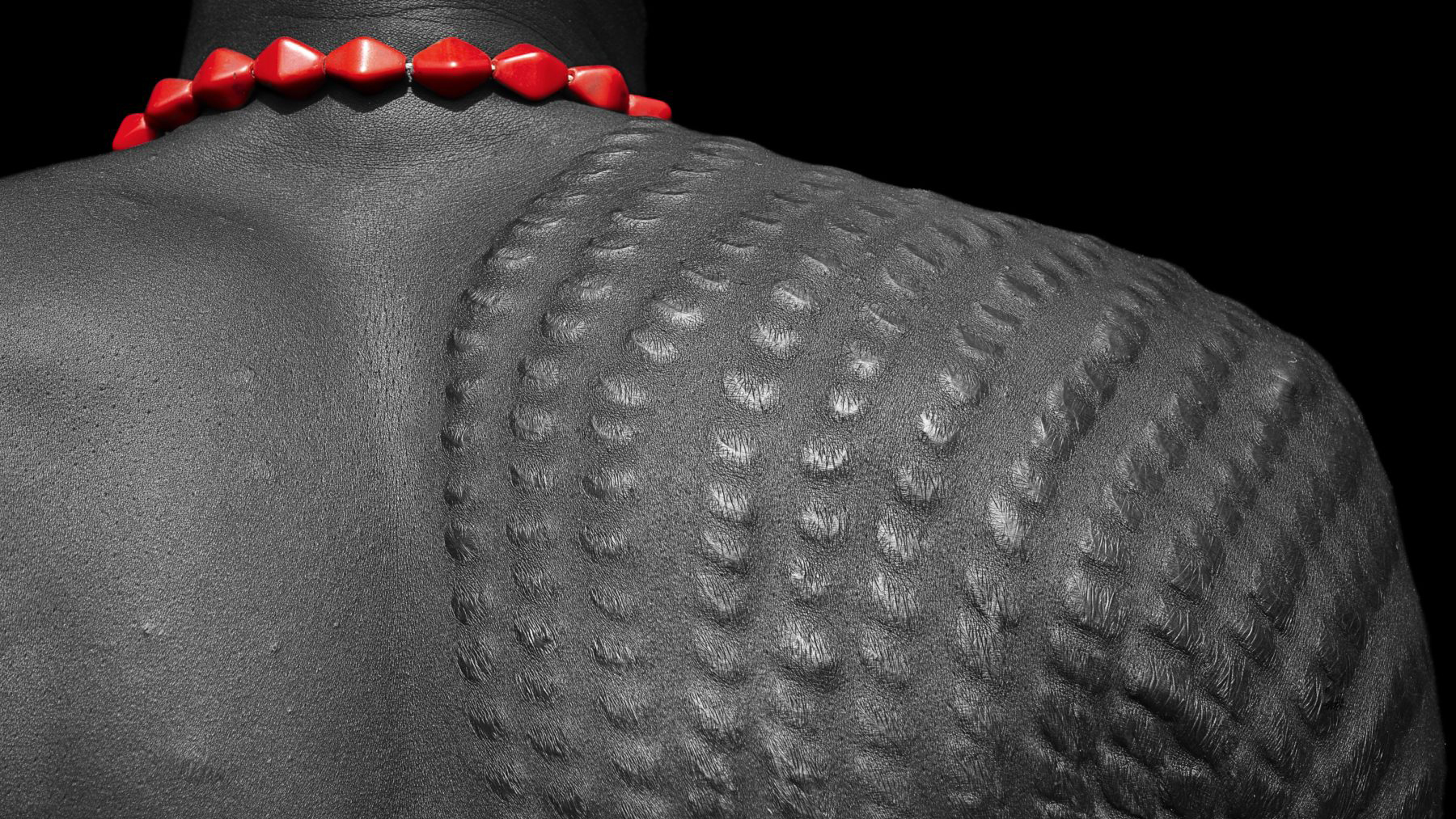 Benoit FERON Photography